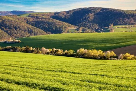 Vychutnajte si nádheru z obce pri Prešove: TAKTO sa tešia z jari v ...